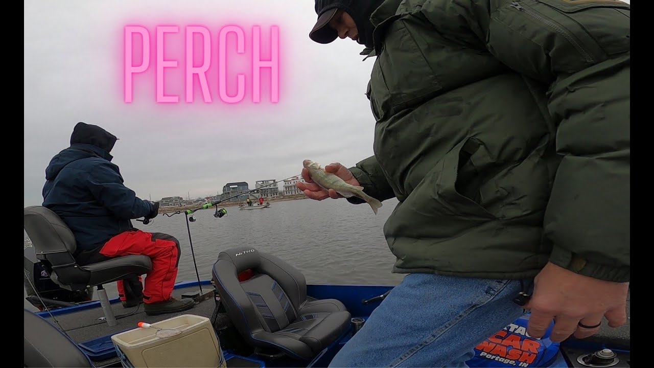 Perch In the St. Joe River - YouTube