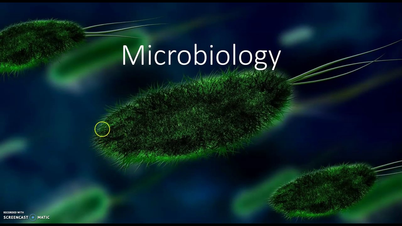 Microbiology- An Introduction - YouTube