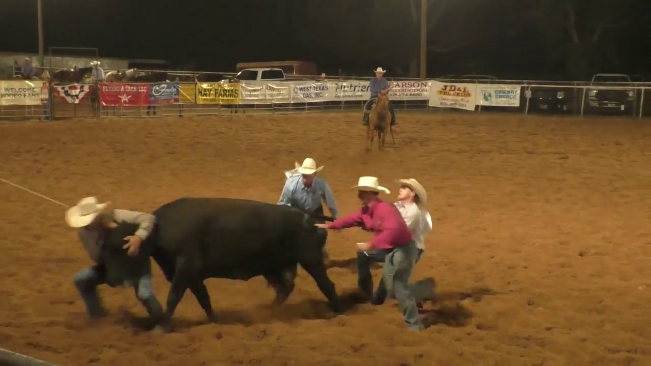Wild Cow Milking - 2019 Saint's Roost Ranch Rodeo (Friday) - YouTube