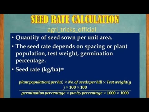 SEED RATE CALCULATION || Easy tricks by Agri Tricks🤗 - YouTube