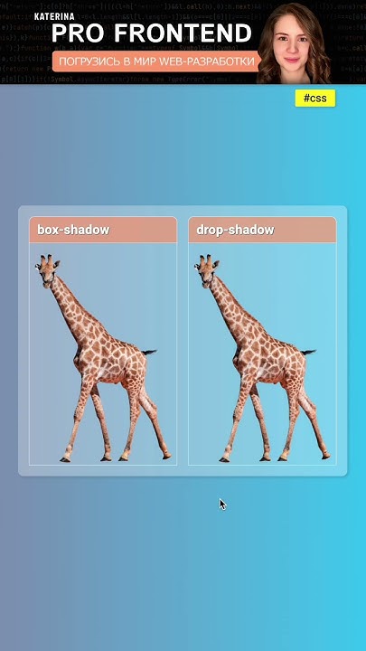 Box Shadow Vs Drop Shadow Css Css фронтенд Frontend Frontenddeveloper Coding