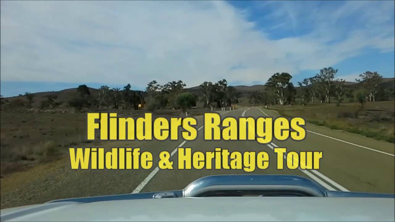 Flinders Ranges Wildlife and Heritage Tour - YouTube