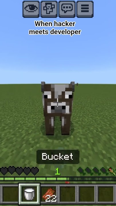 When hacker meets developer #minecraft #hacker #viral #shorts - YouTube