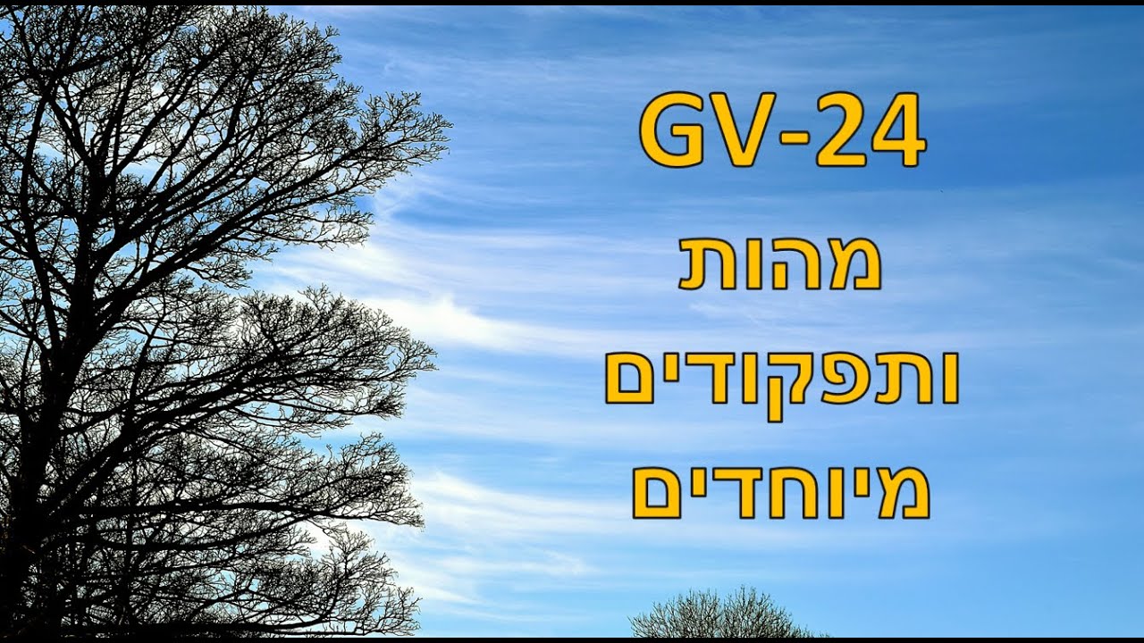 על האיכויות הקליניות של GV24 לעבודה מנטלית - YouTube