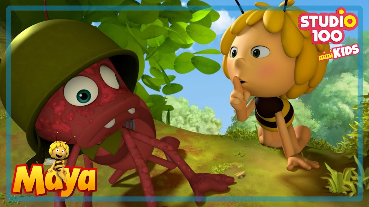 Find Maya - Maya the bee - Studio100 miniKIDS 🍯🐝🍯 - YouTube