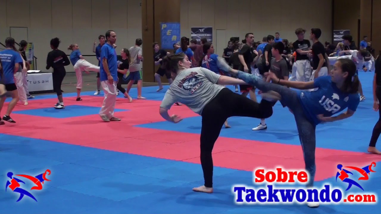 Taekwondo warm up and target drills. - YouTube