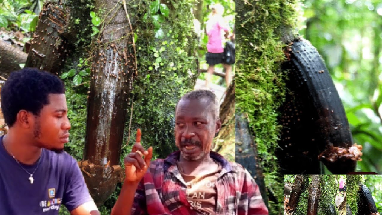 NOW OUR PROBLEM IN BED IS SOLVED, THE OLD MAN WHO GIVES ORIGINAL BIG ...