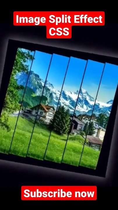 Image Split Effect Using Css Css Splitimage Frontend Csstutorial Cssanimation Youtube