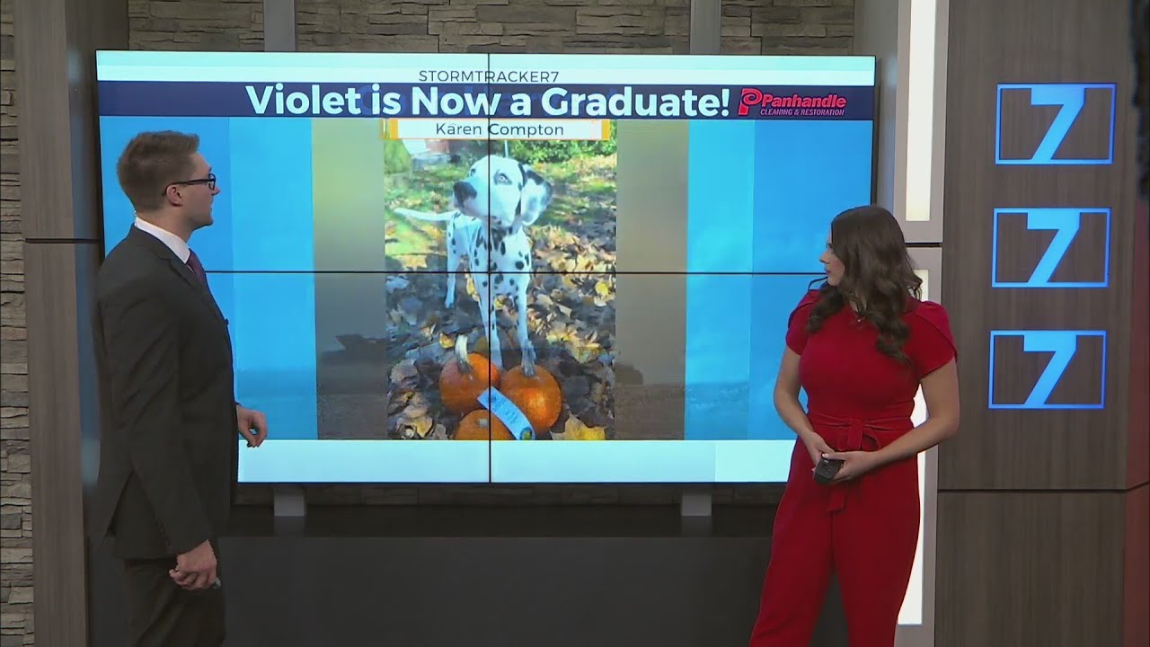 Violet Photo of the Week 11.3.23 - YouTube