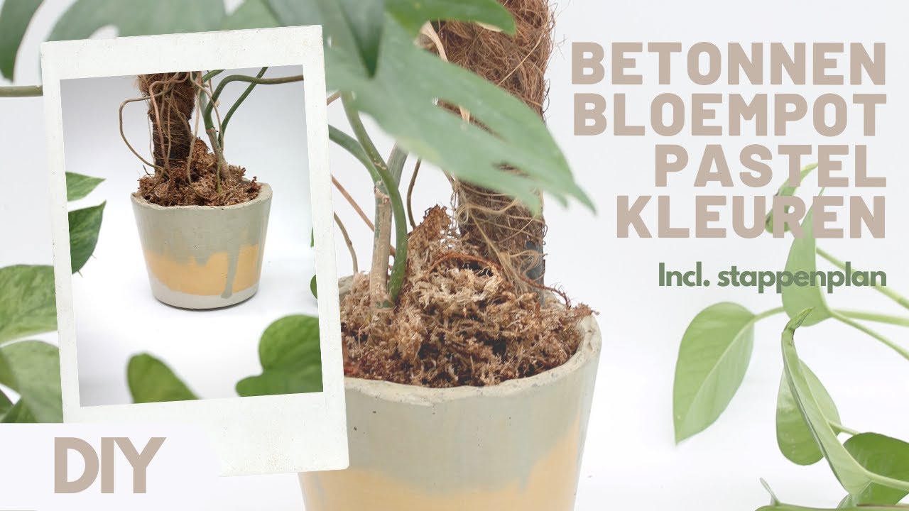 DIY - BLOEMPOT VAN BETON - ZELF MAKEN - HANDLEIDING - YouTube