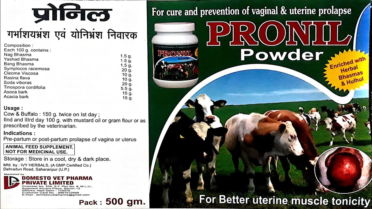 Pronil Powder full review || Prolapse की समस्या का जड़ से समाधान - YouTube
