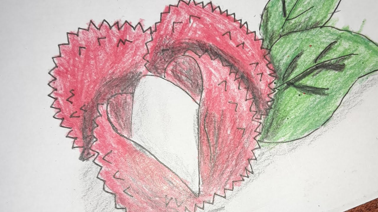 How to draw Lychee || #art #drawing #viral - YouTube