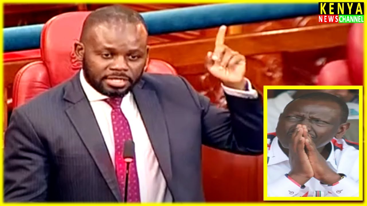 GLOVES OFF as Fearless Senator Kajwang ROARS on Ruto in Senate after ...