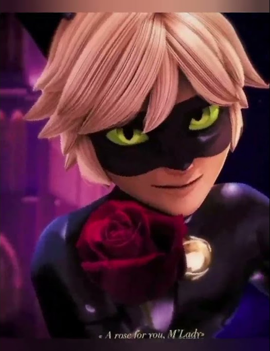 Леди Баг Супер Кот и Рина Руж Miraculous Youtube