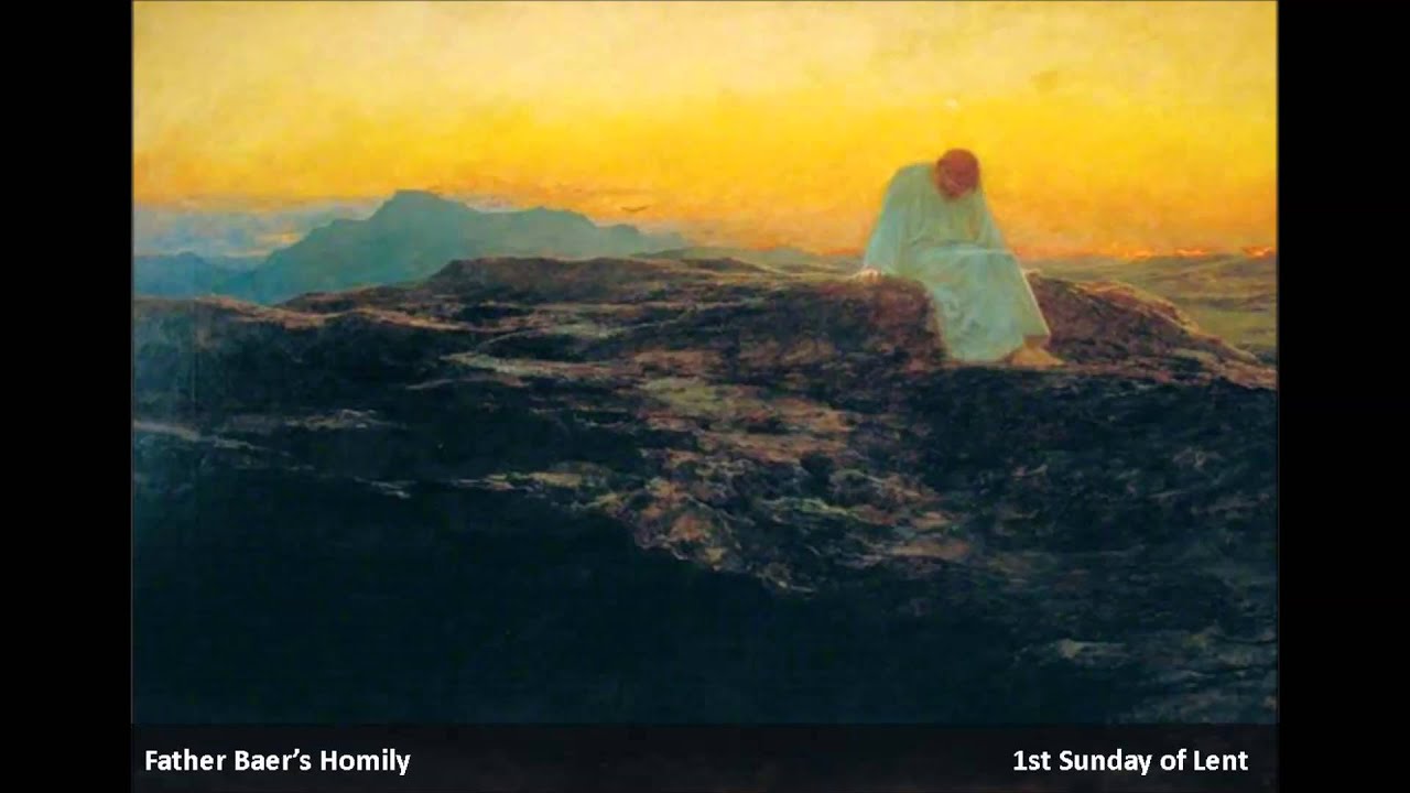 Father Baer's Homily from the 1st Week of Lent - 2/14/16 - YouTube