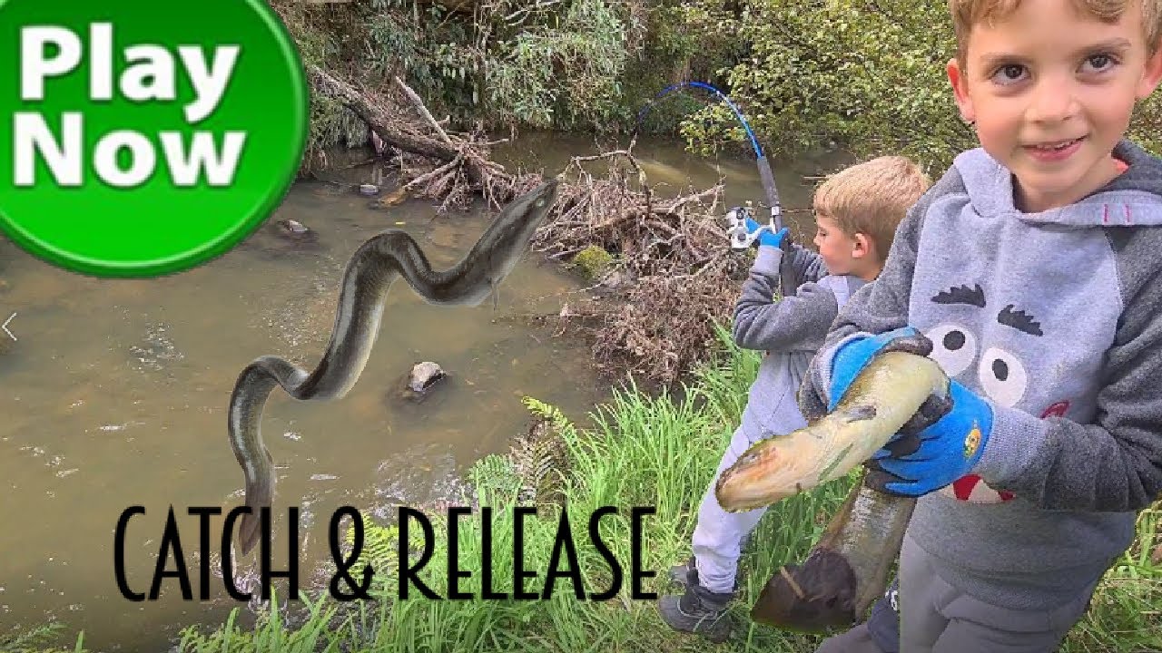 Leo catching an eel - Eeling - Eel fishing New Zealand - YouTube