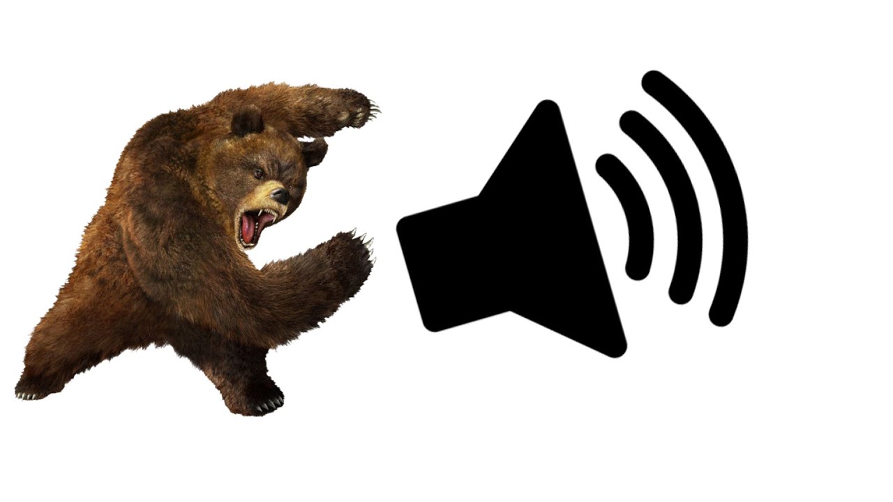 Bear Screams | Sound Effect - YouTube