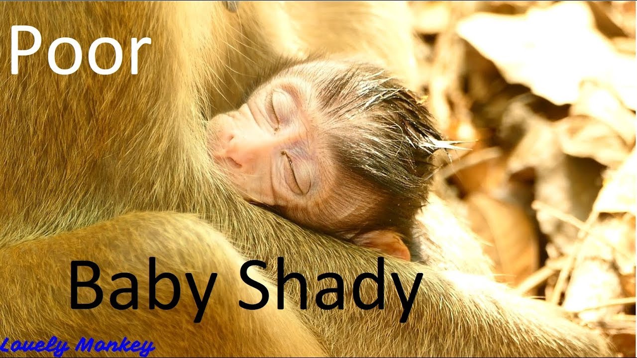 Mother Slim Try Her Best Keep Good Nurse To Baby Shady But Why Baby ...