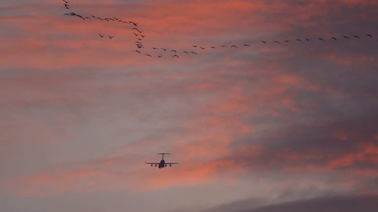 C-17 Globemaster III sunset flyover - YouTube
