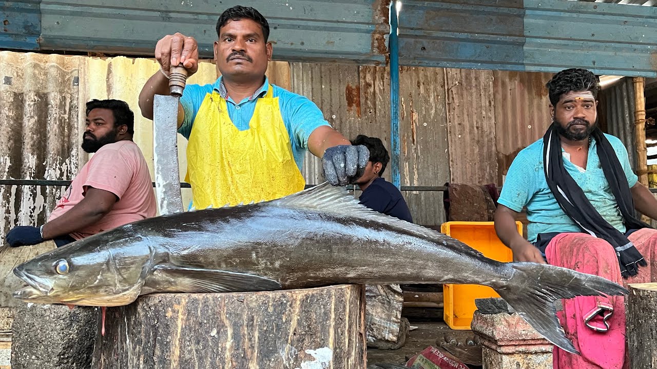 KADAL VIRAL FISH🐠CUTTING FOR CHILLI FISH 😋 CUTTING BY AARUMUGAM ⚔️🔥 ...