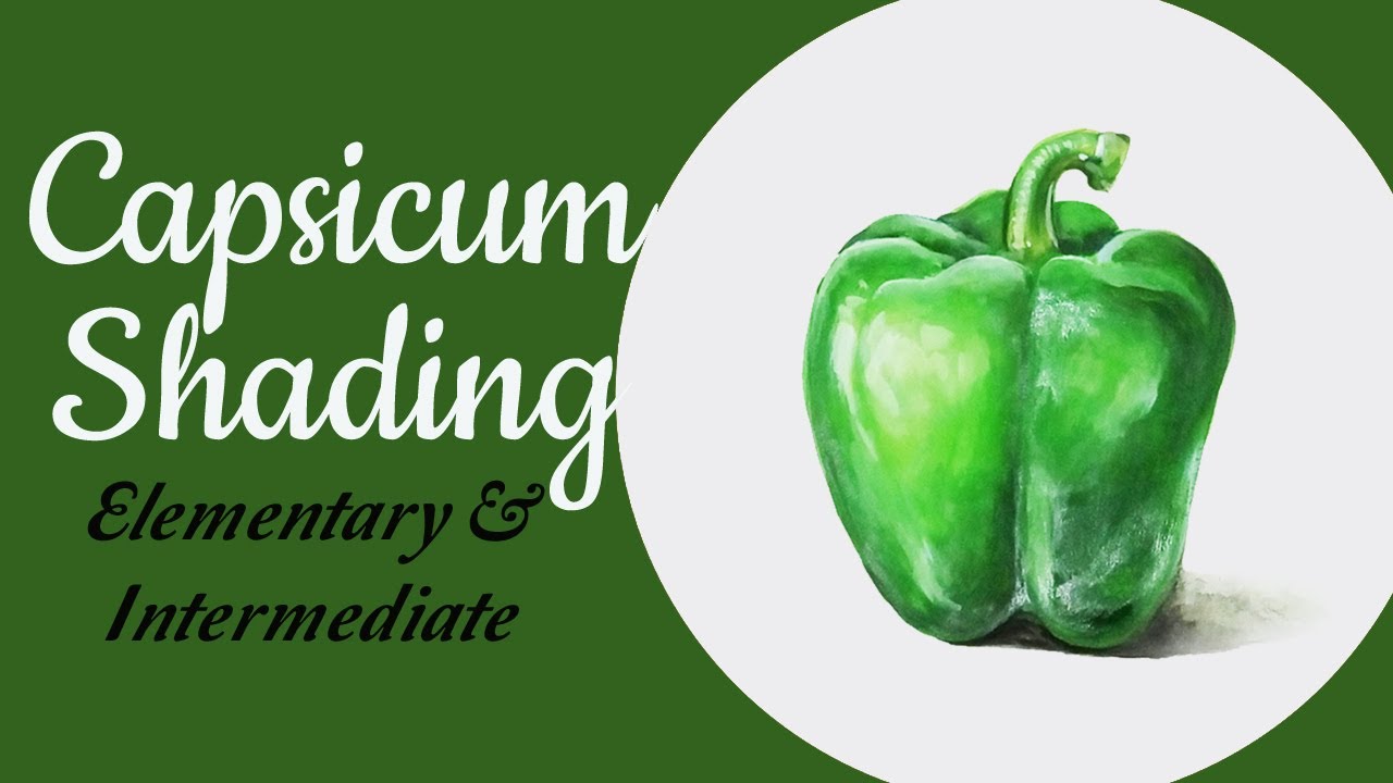 Capsicum With Poster Colour - YouTube