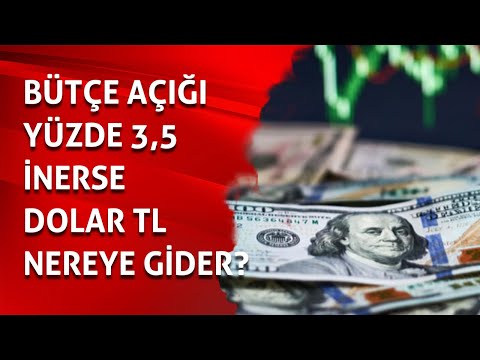 Bütçe açığı yüzde 3,5 inerse Dolar ne olur? /Ekonomi /Dolar/ Bitcoin