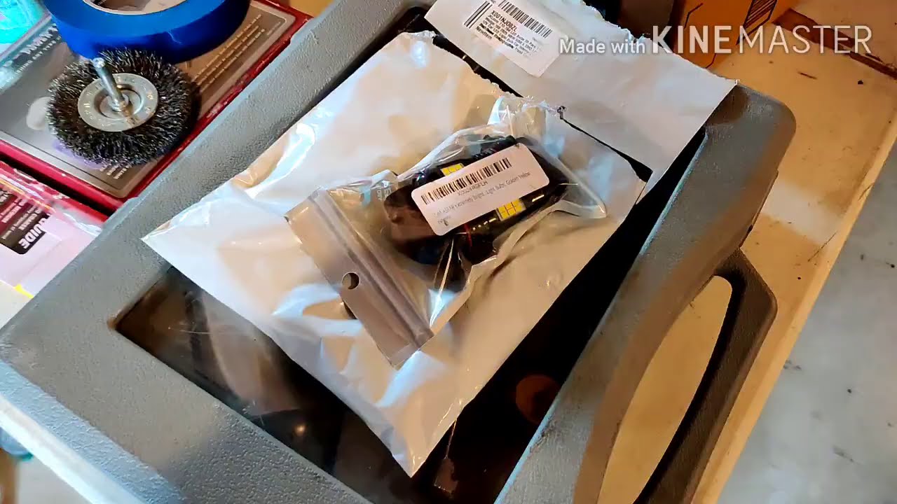 SVT Cobra "Terminator" LED Fog Lights - YouTube