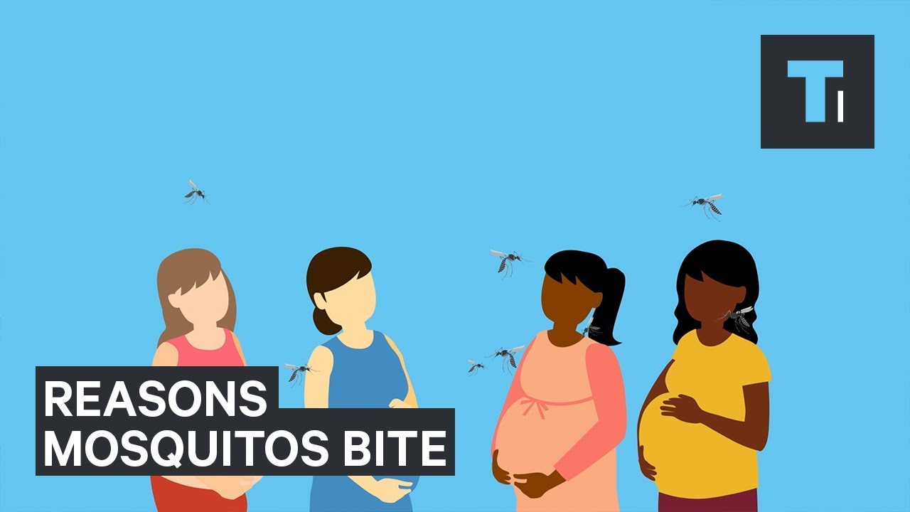 Mosquitoes Bite You If You Do These 5 Things - YouTube