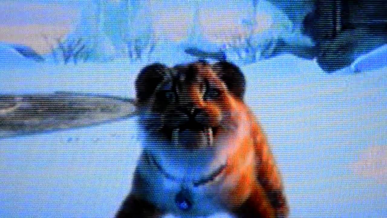 Kinectimals Sabre Tooth Tiger Cub - YouTube