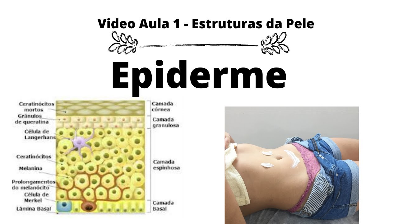 Video Aula 1 EPIDERME - YouTube