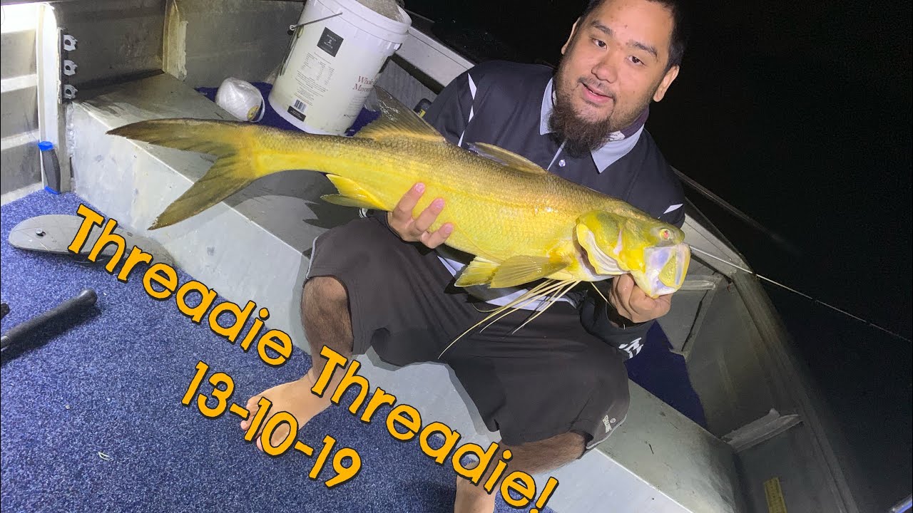 Thready Fishing Brisbane River 04 - 10 -2019 - YouTube