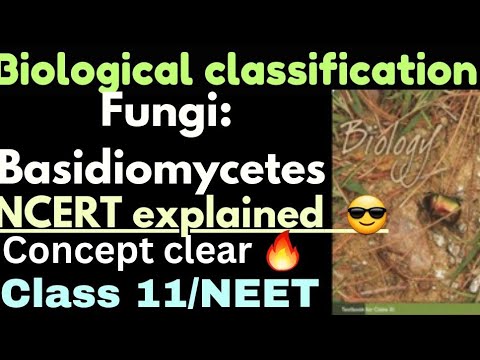 Fungi(Basidiomycetes) Full NCERT explained in 8 minutes 🔥 NEET | Class ...