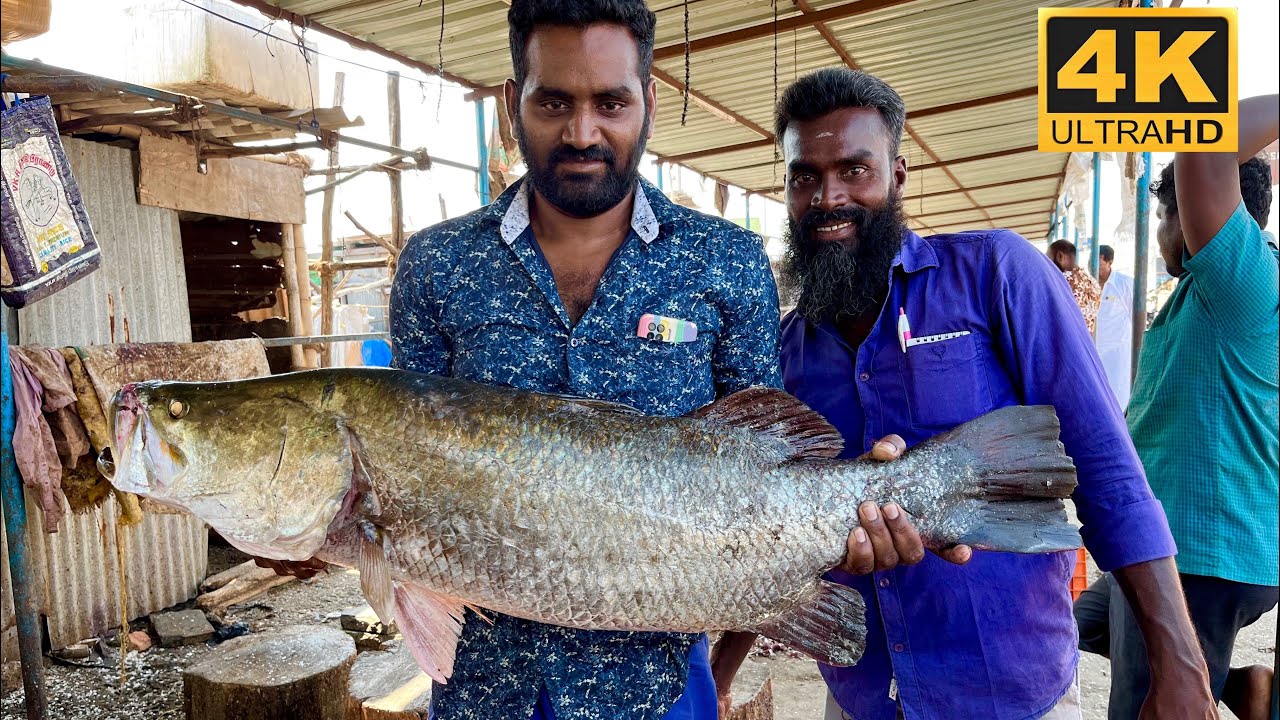 Original koduva fish cutting video/Fishcuttingrs #fishcuttingrs # ...