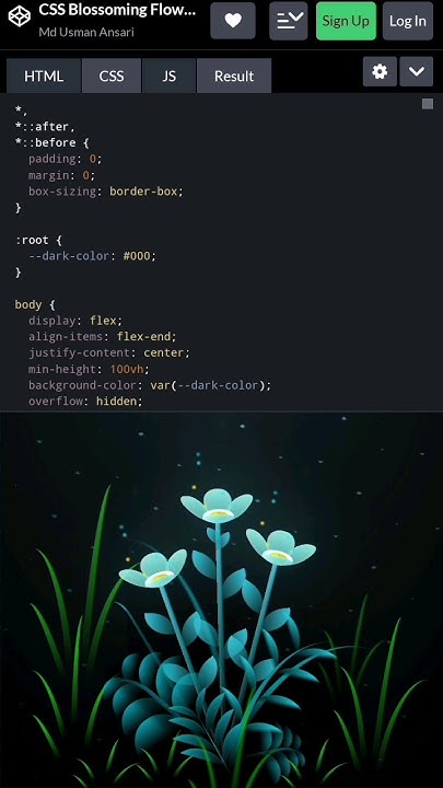 Animation Html Et Css Animation Html Htmlcss Coding Programming Webdesign Youtube