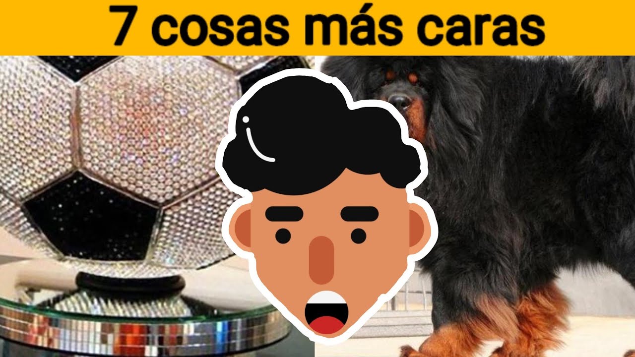 Las 7 cosas más caras del mundo - YouTube