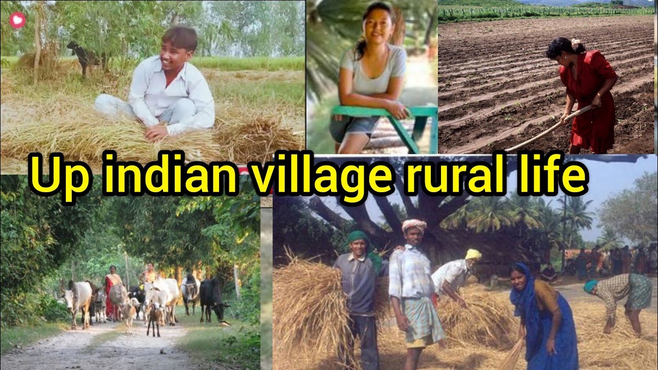 indian village life || reallife india || village lifein india || indian ...