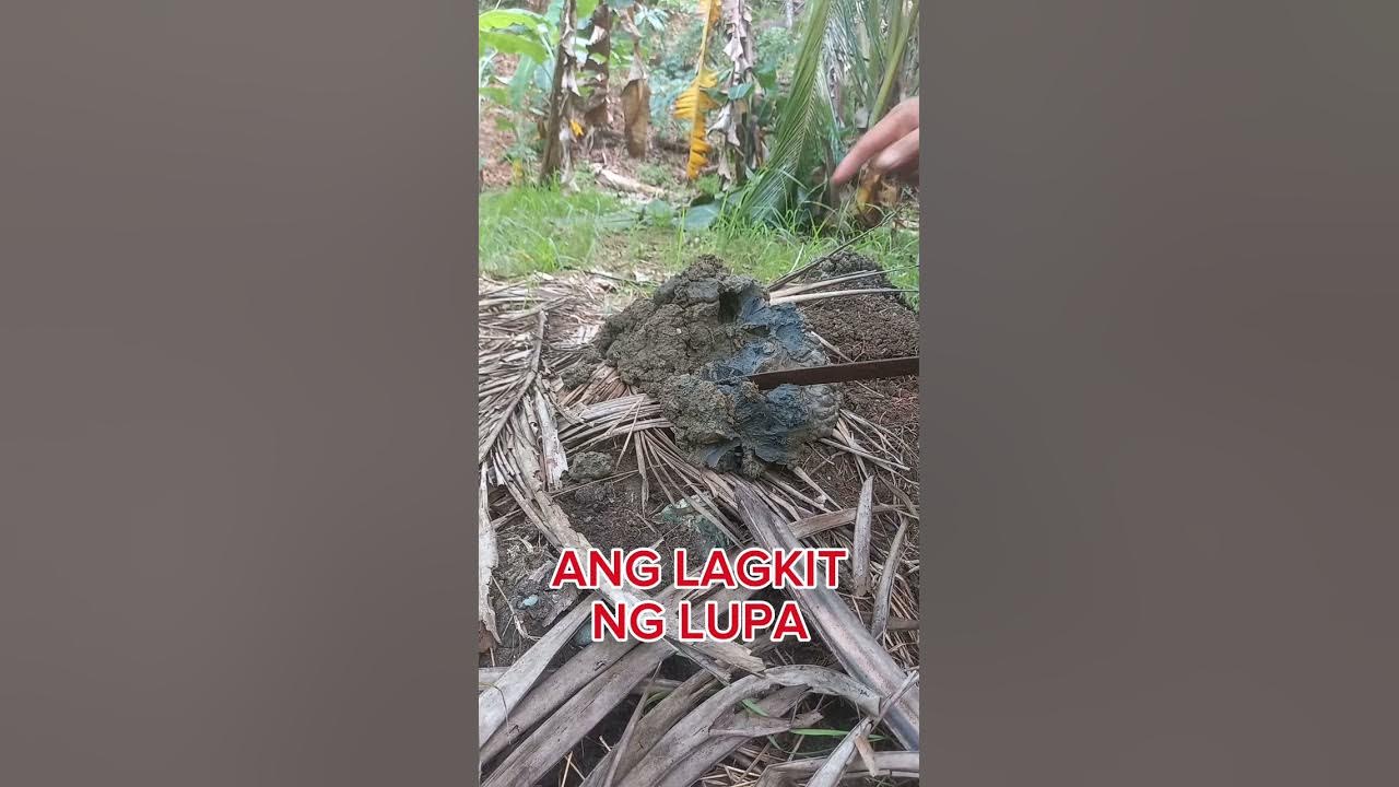 KAKAIBANG NILALANG ANG GUMAWA NITO - YouTube