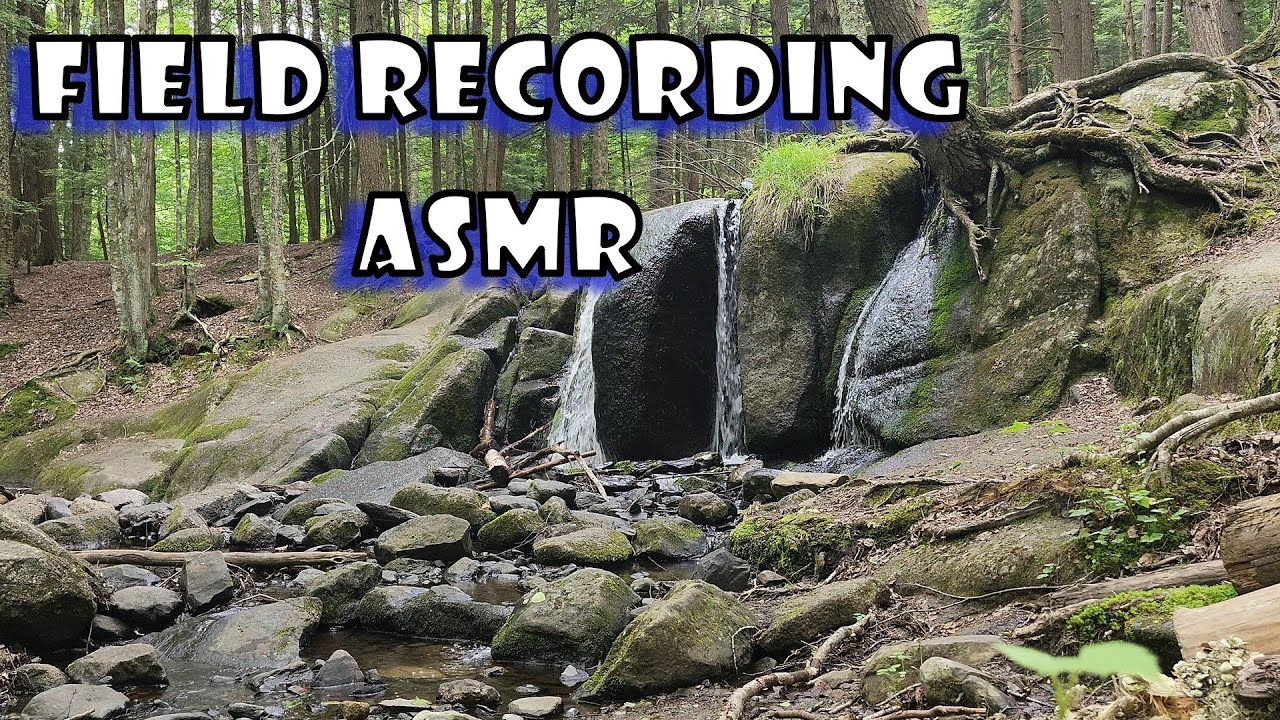 FIeld Recording Session - Forest Waterfall ASMR - YouTube