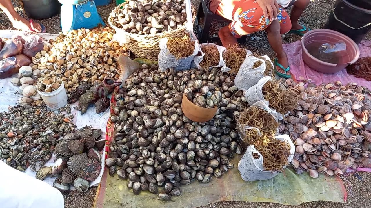 Unlimited Shells | Cheapest Sea Foods in the Philippines | only in ...