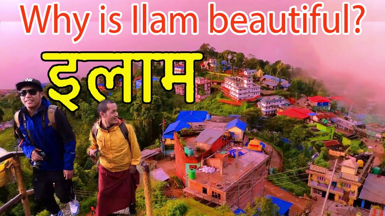 इलाम - ilam nepal | ilame sahar chiya bari ramro | Why is Ilam ...
