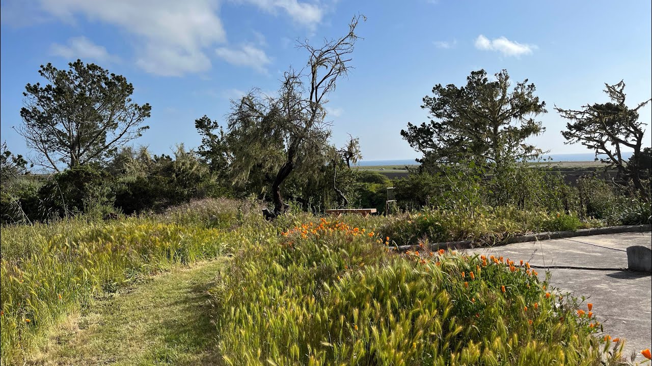 Purissima Cemetery: A Natural Burial Preserve and Park Right Outside ...