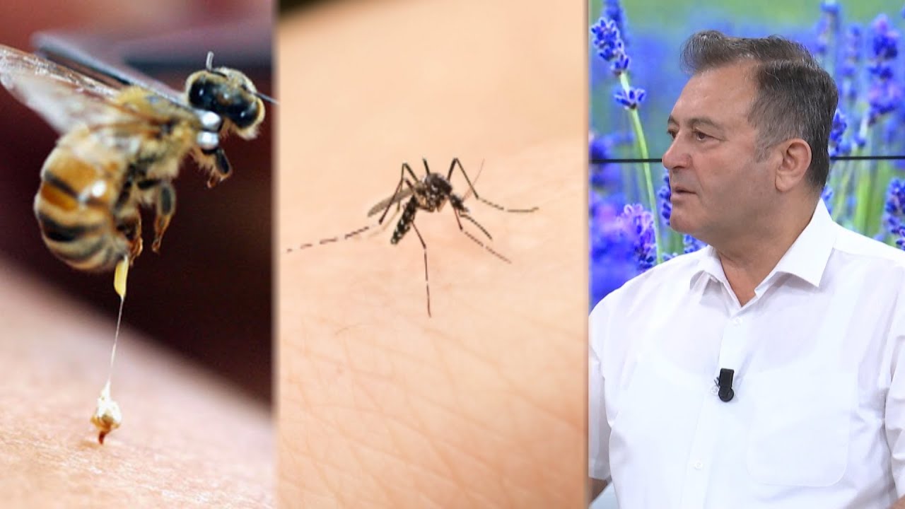 Nga pickimi i mushkonjave tek thumbimi i bletës... Ylli Merja: Ja si të ...