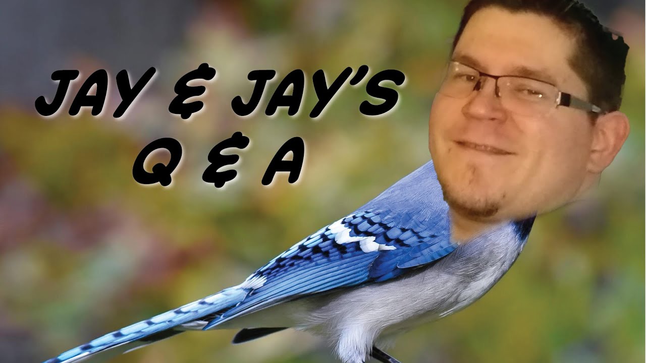 125% of the normal questions with 500% of the normal answers: Kyle & Jay's Q & A - YouTube