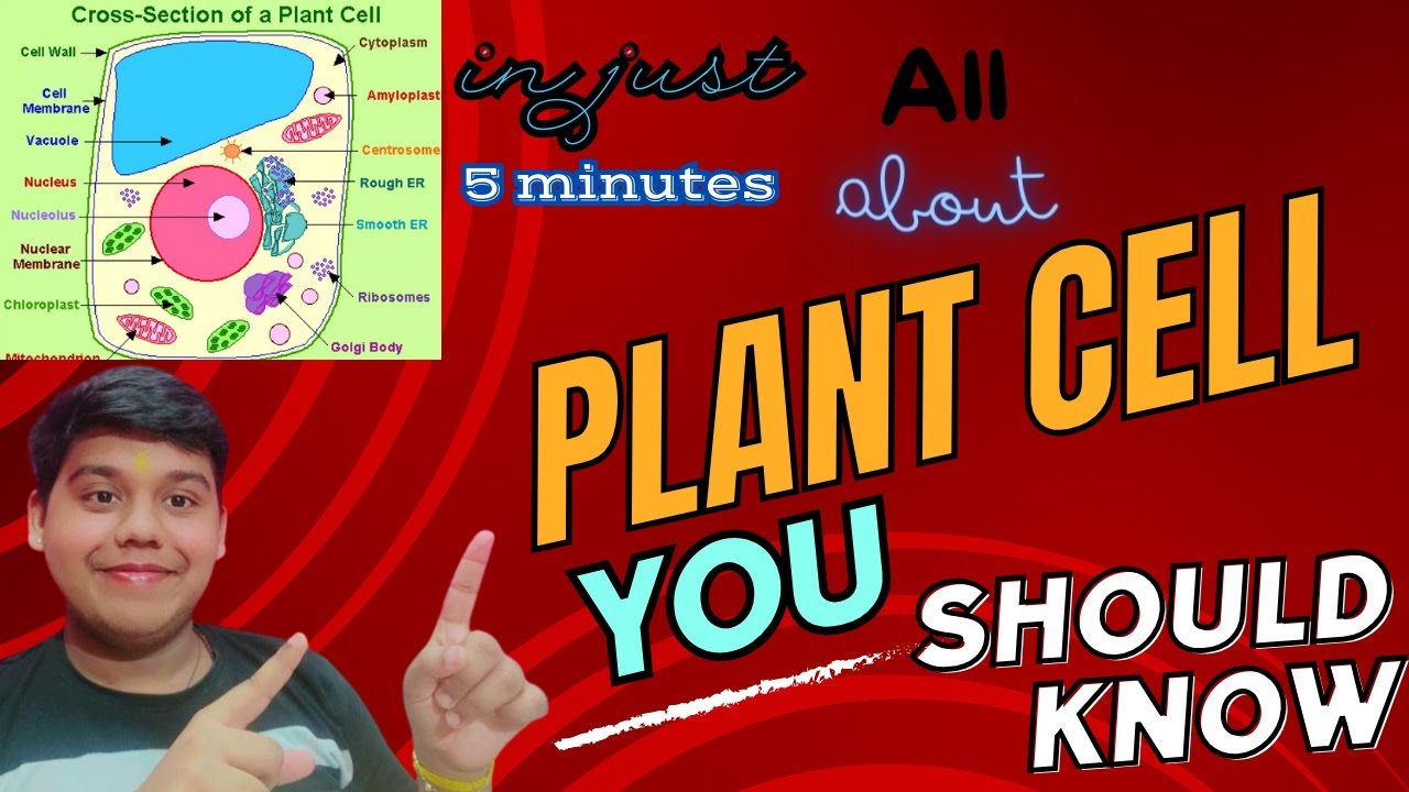 Plant CellЁЯк┤ In Just 5 Minutes Detailed Analysis Along With
