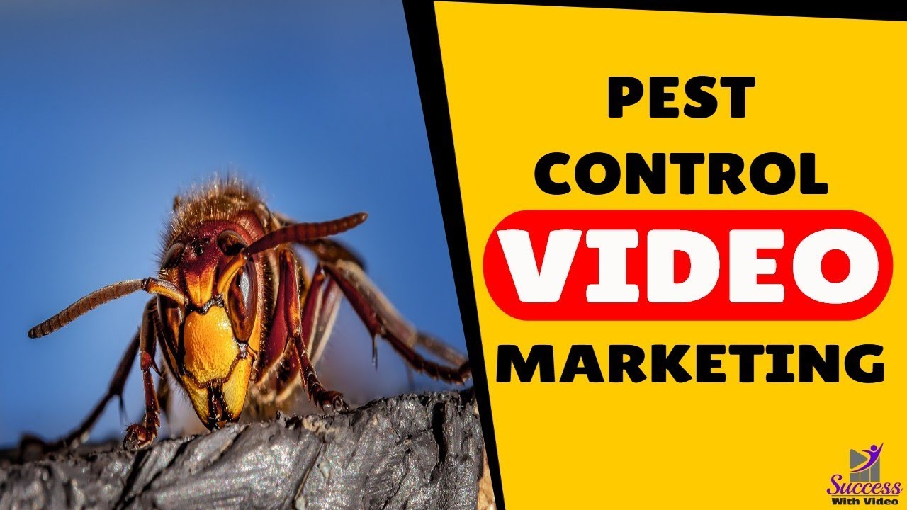 Pest Control Video Marketing Success With Video - YouTube