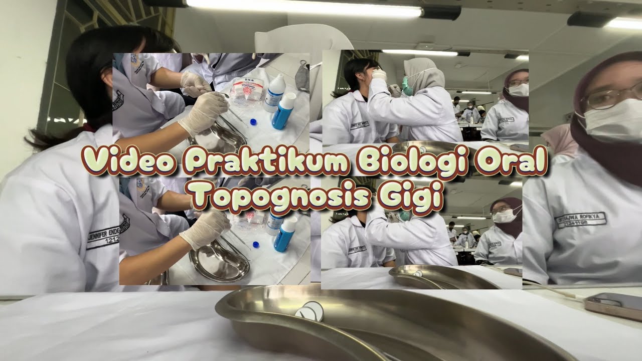 C-Praktikum Biologi Oral Topognosis Gigi - YouTube