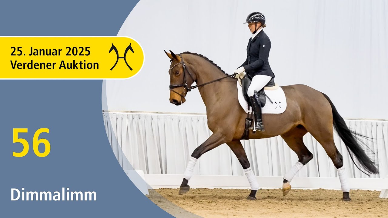 No. 56 Dimmalimm by Double Hit - Florestan I | Verden Auction Online ...