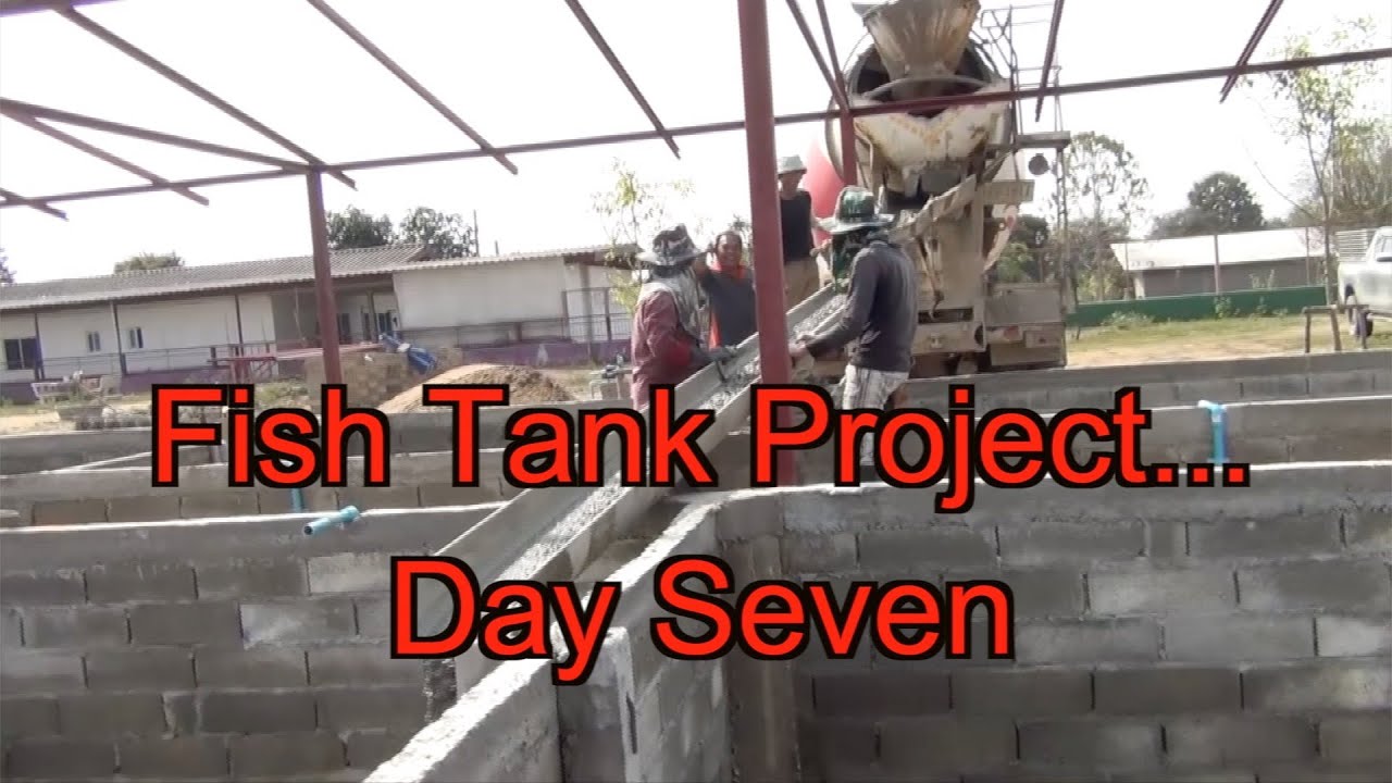 Fish Tank Project...Day Seven - YouTube