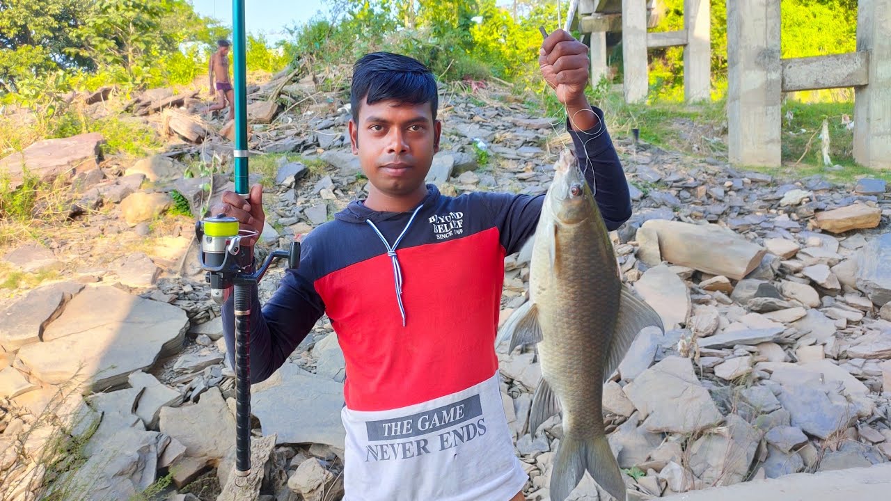 Amazing fishing video Big Black Rohu Fishing At Damodar River | Rohu ...