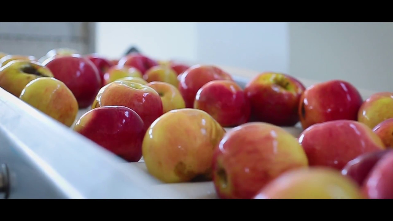 Производство соков компании Altyn Food - YouTube